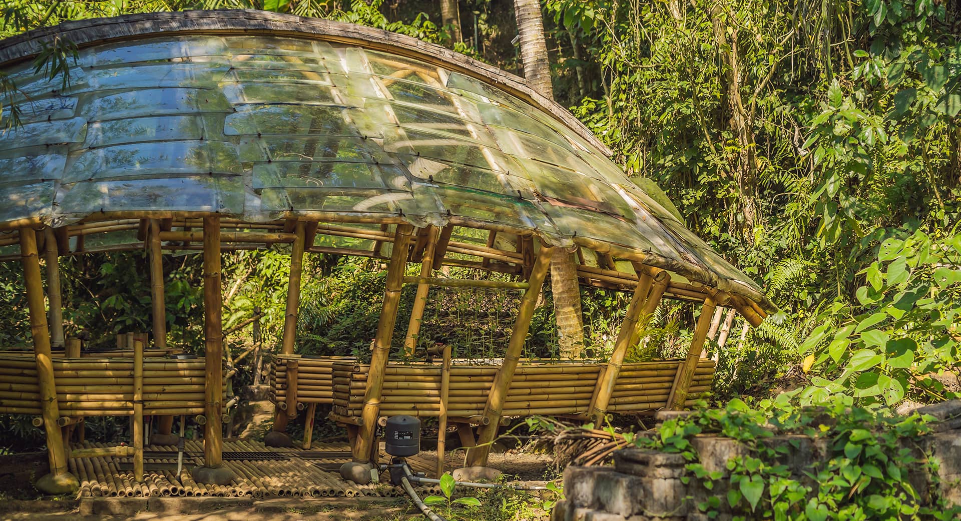10 VENTAJAS DE CONSTRUIR CON BAMBÚ - Tensoestructuras